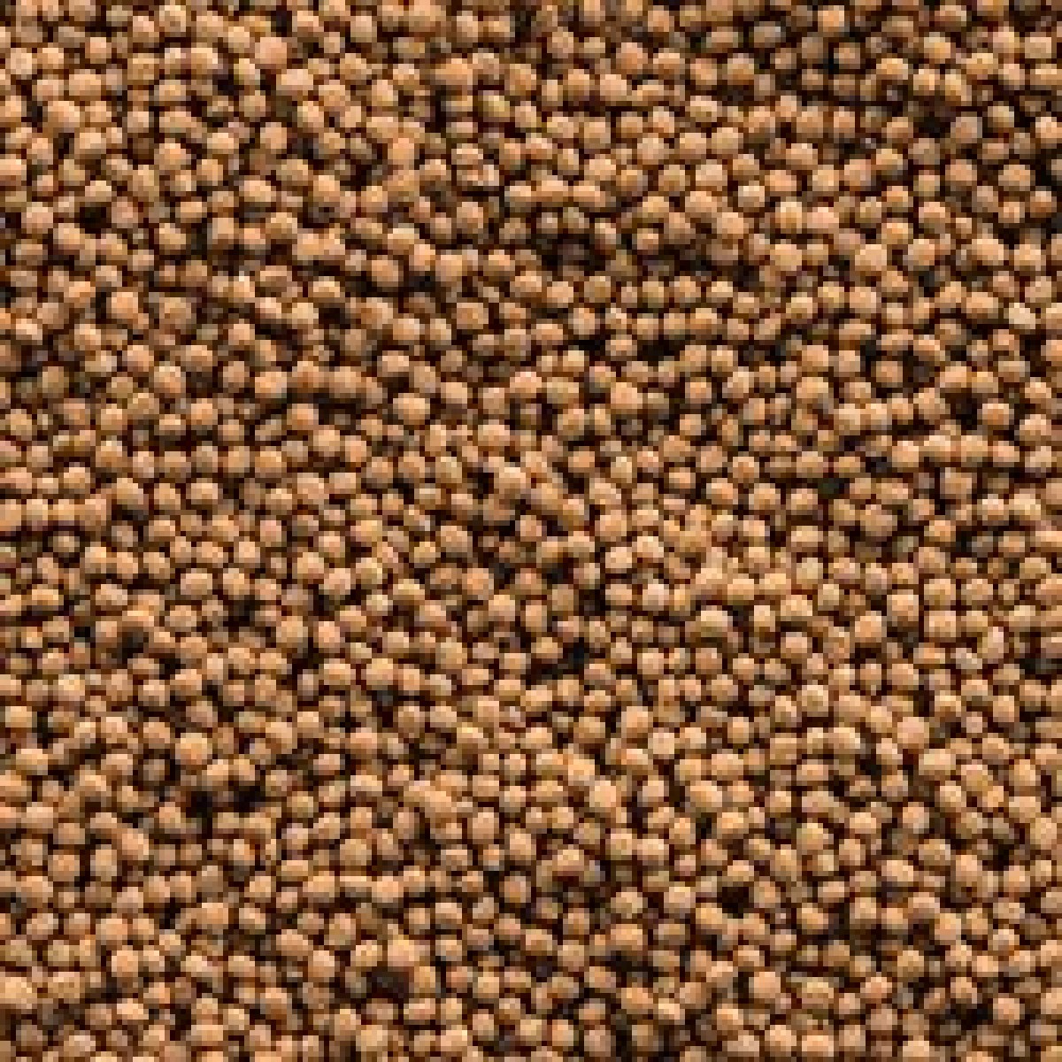 Sera Koi Royal Mini Nature Fish Food – Floating Staple Granules for ...