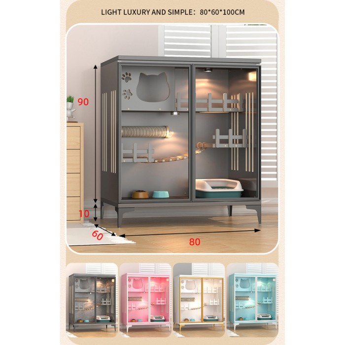 Golden Cat | Online Pet Shop in Dubai