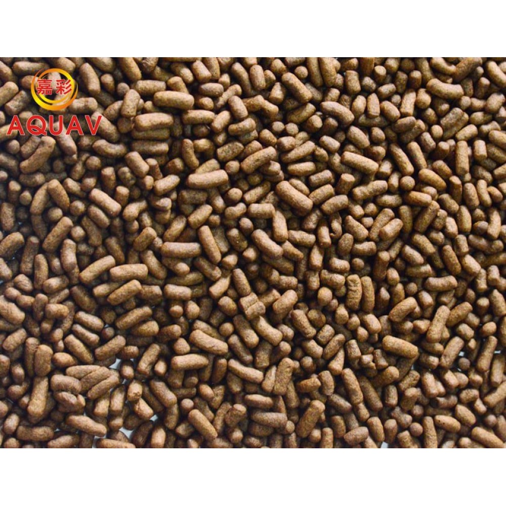 AQUAV Arowana Stick Fish Food 500ml | High Protein Color Enhancing ...