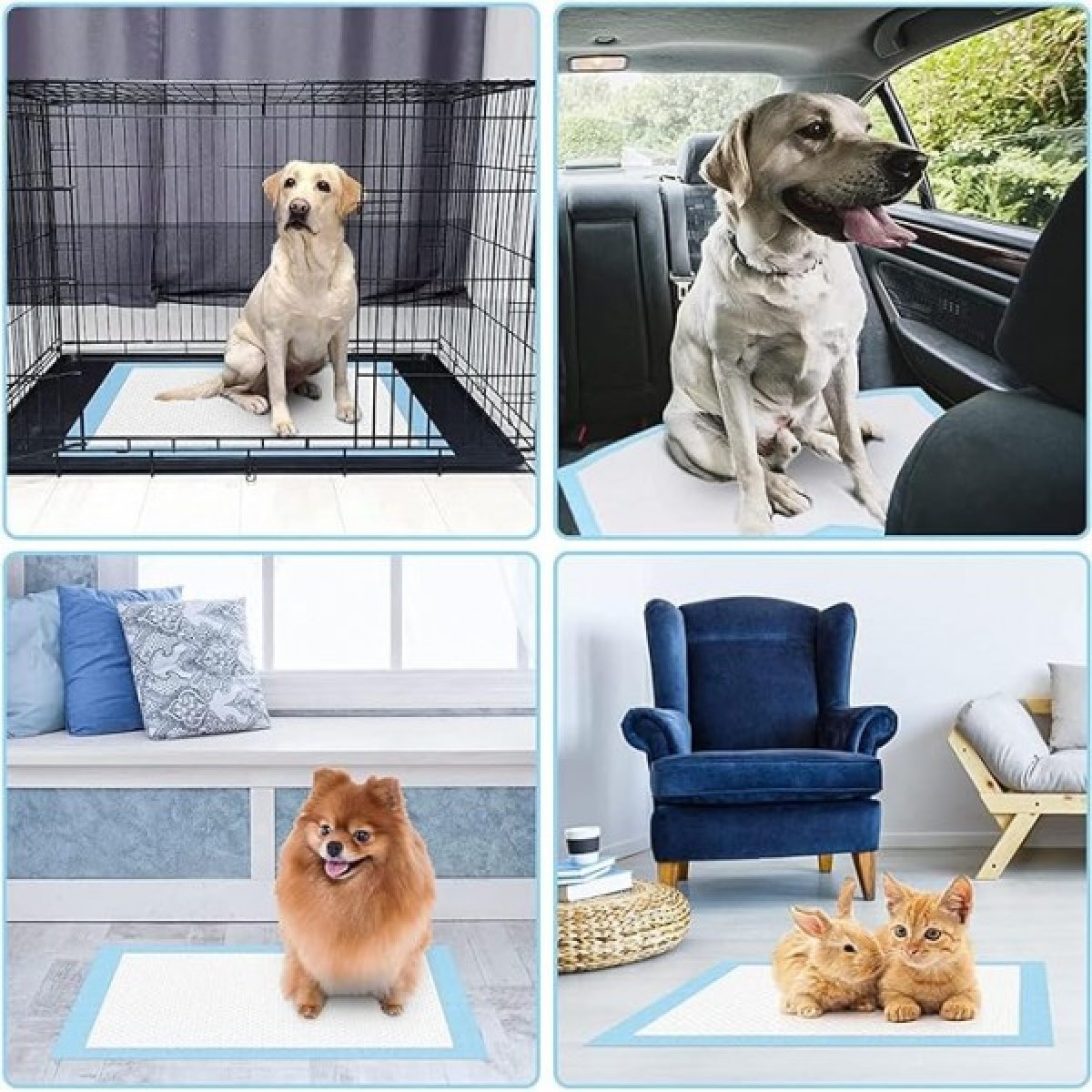 Pet Training Pads Super Absorbent dog Pads Anti Slip Toilet Pee Mat (40 ...