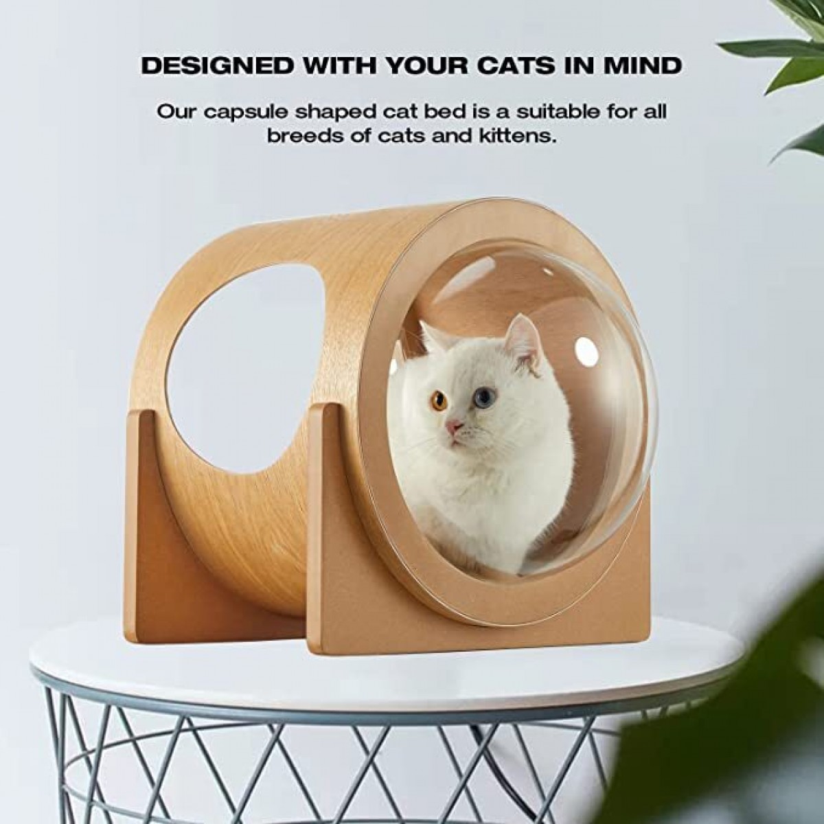 YOLENY Wooden Cat Bed Capsule ( Large ) - 78673153106266 | Online Pet ...