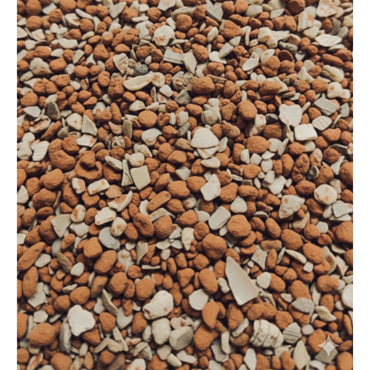 BEYERS Grit Extra 20kg – Mineral Grit Supplement for Racing & Breeding ...