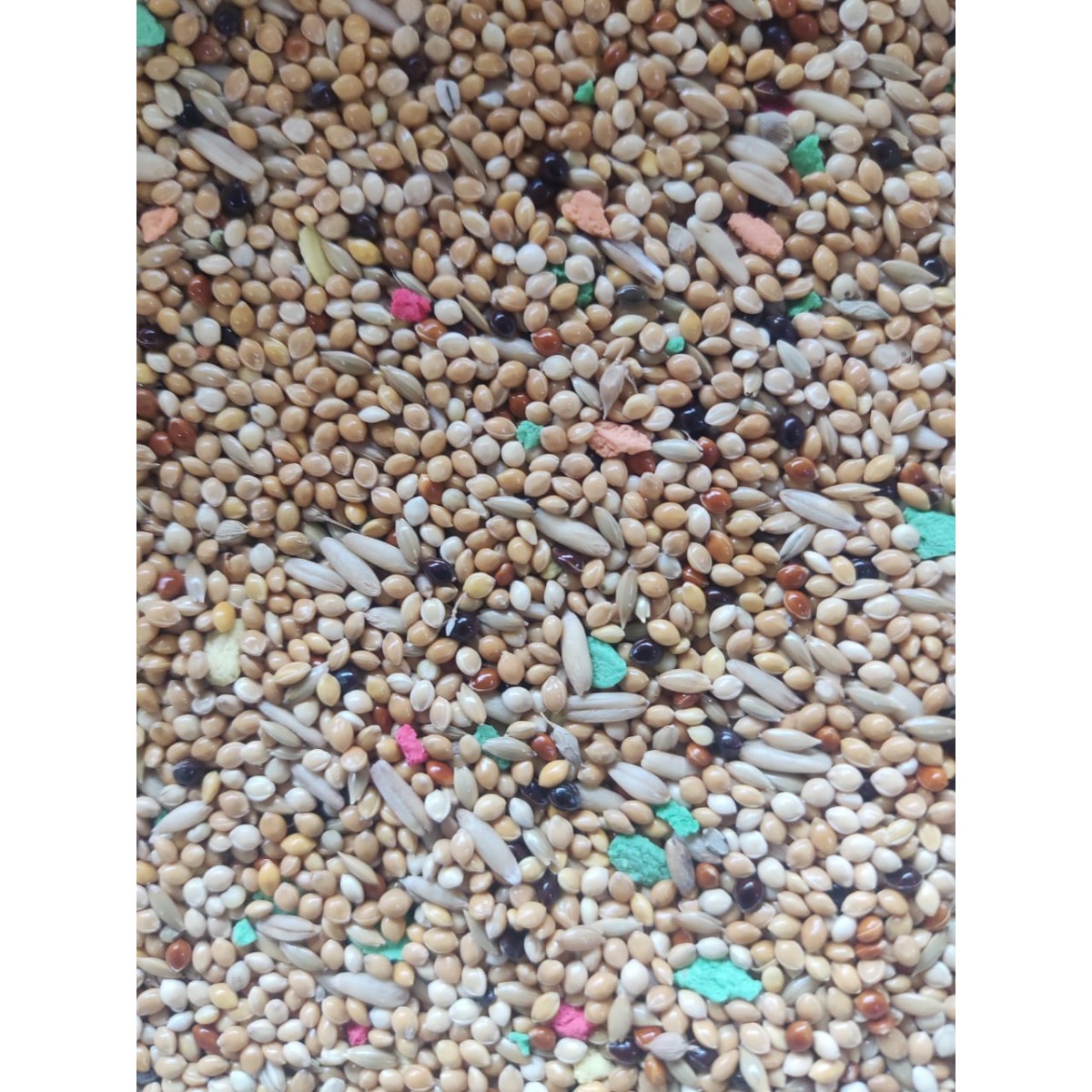 Al Masroor Vitamin Seed Mix – Premium Blend for Budgies, Finches ...