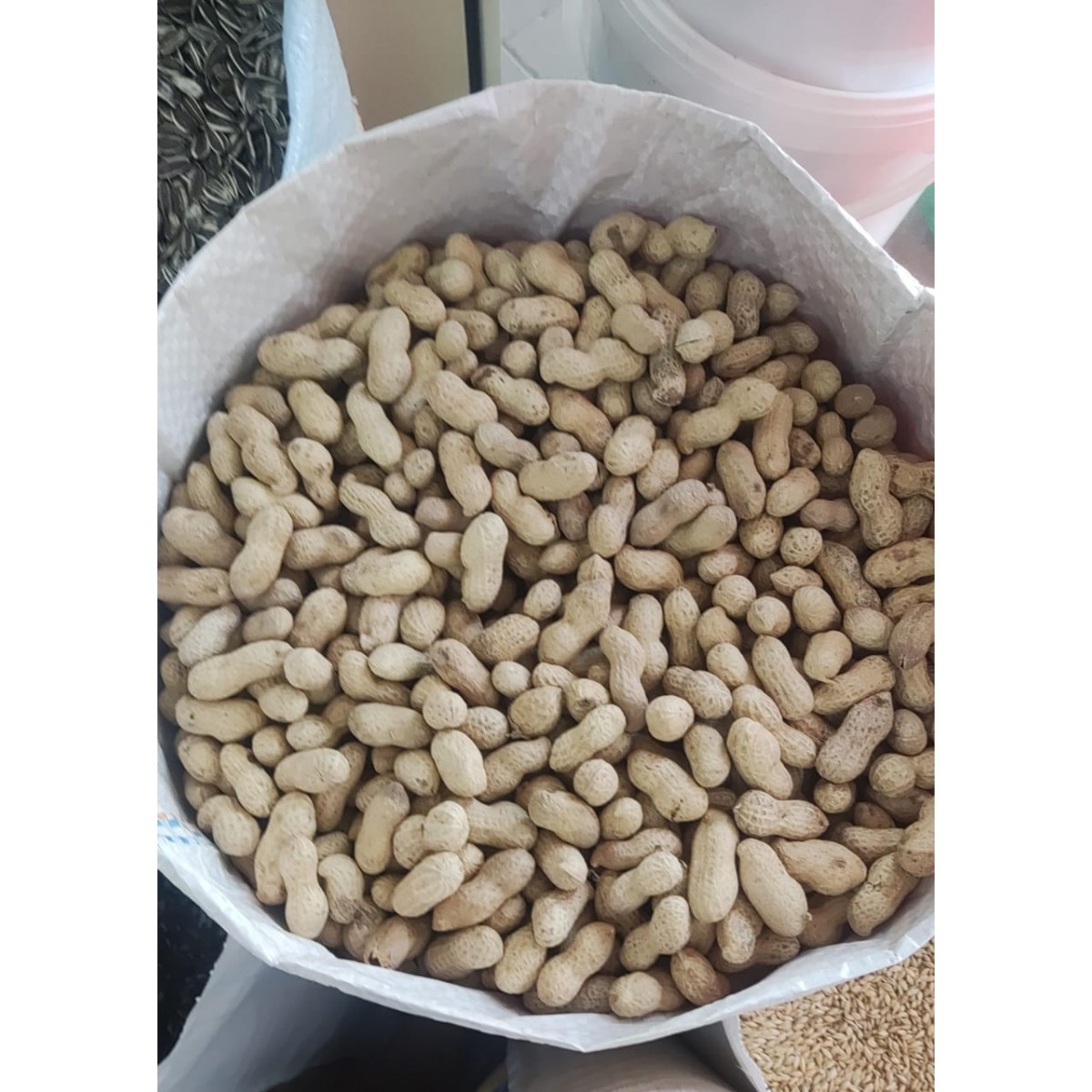 Plain Unsalted Peanuts for Birds & Small Animals – 5kg Bag | Raw ...