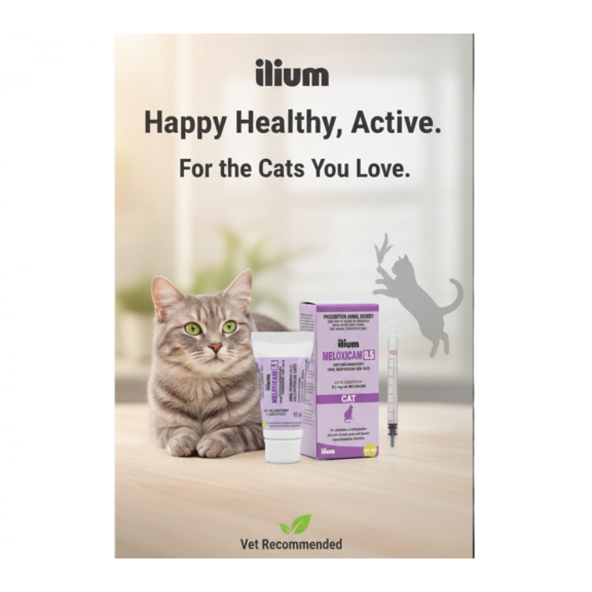 Ilium Meloxicam 0.5 Oral Suspension for Cats 10 mL – Gentle Pain ...