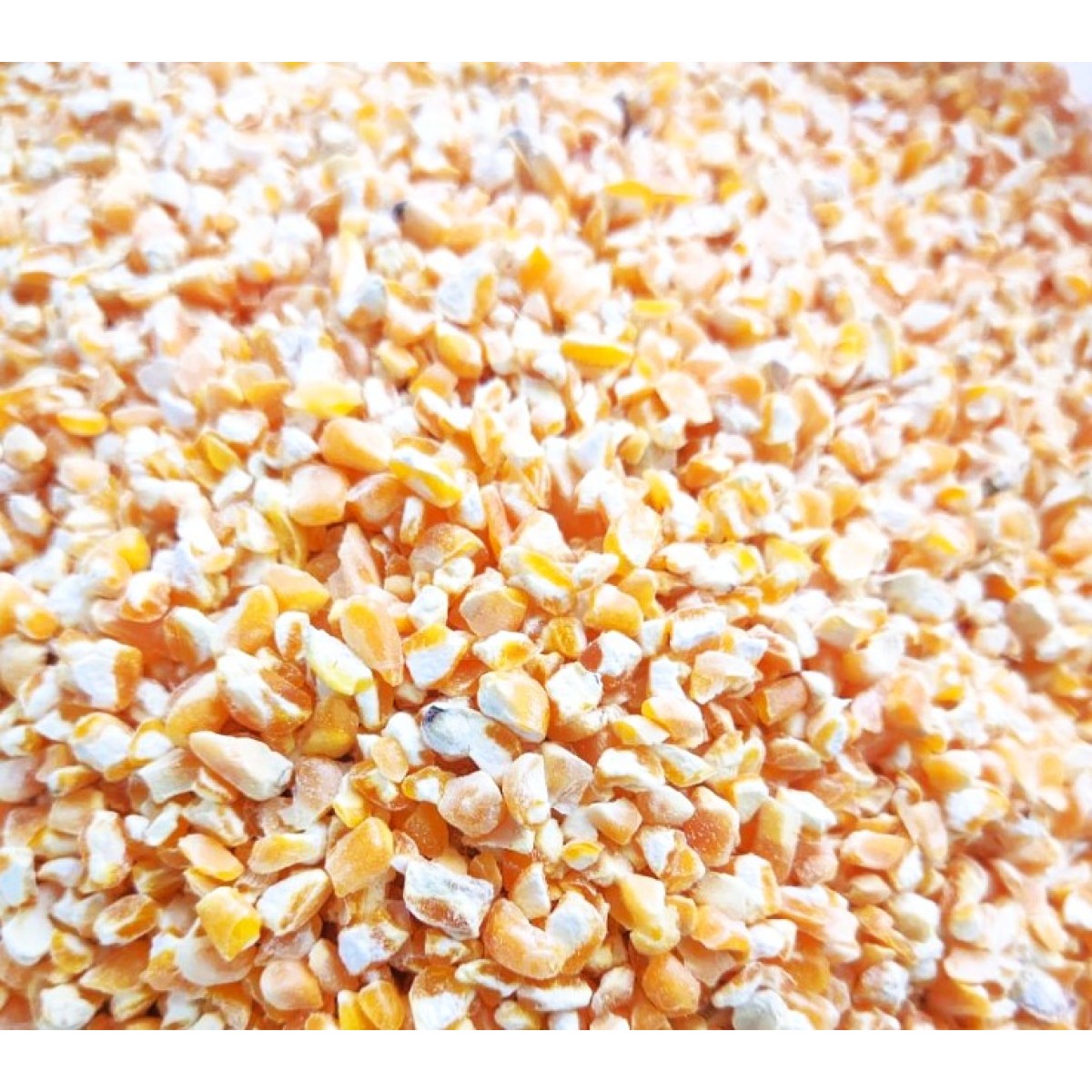 Premium Yellow Cracked Corn (Broken Corn) – 20kg Bag | High-Energy Feed ...